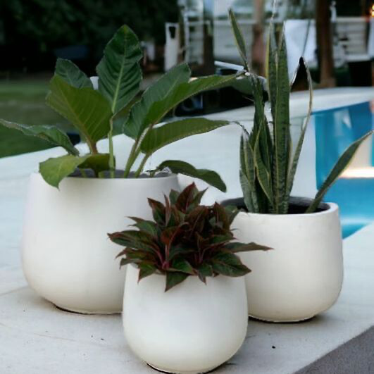 NEW Lightweight Bung Tub Planter Pot in Matt White – Terrace Outdoor Living