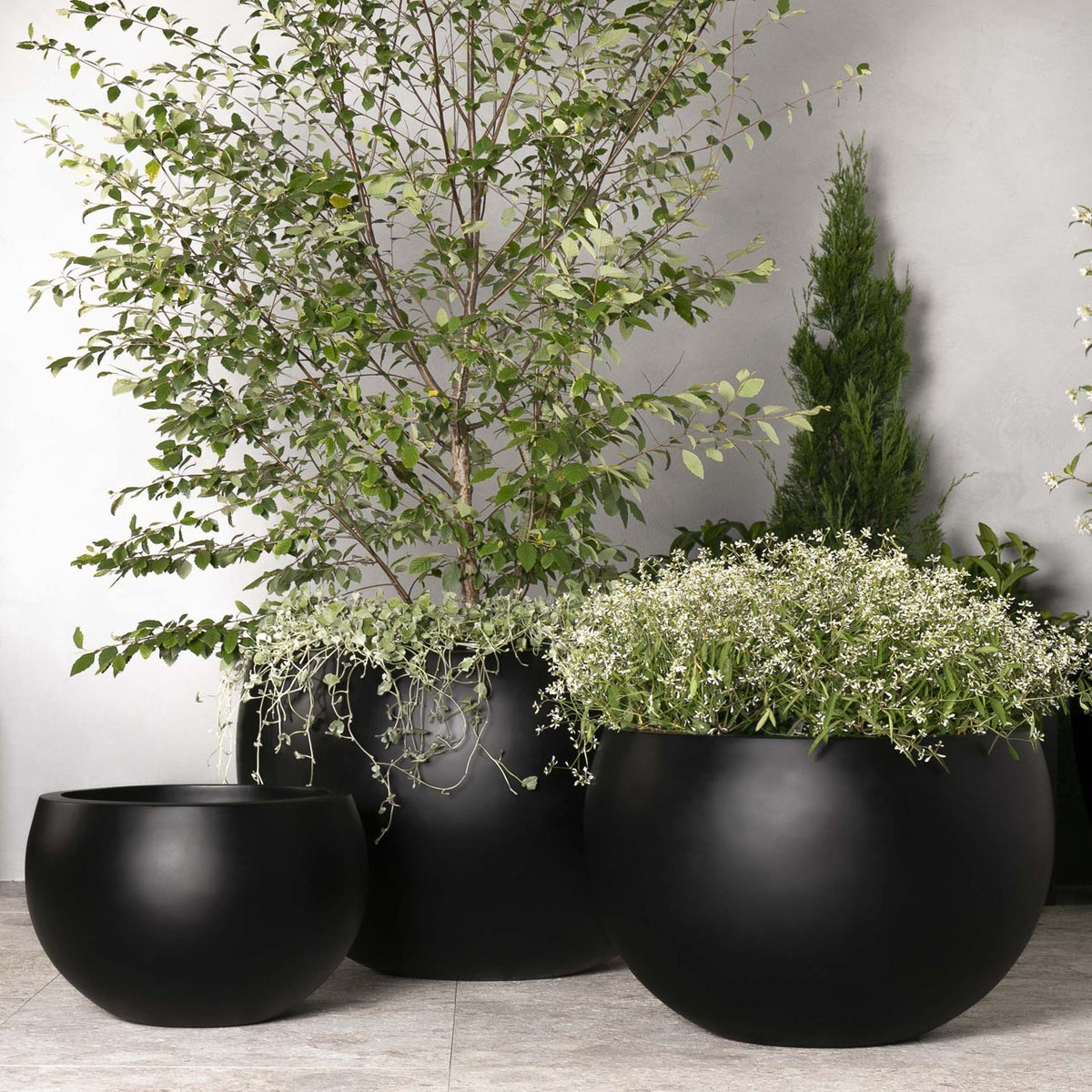 NEW Lightweight Indoor Ball Planter Pot in Matt Black – Terrace Outdoor ...